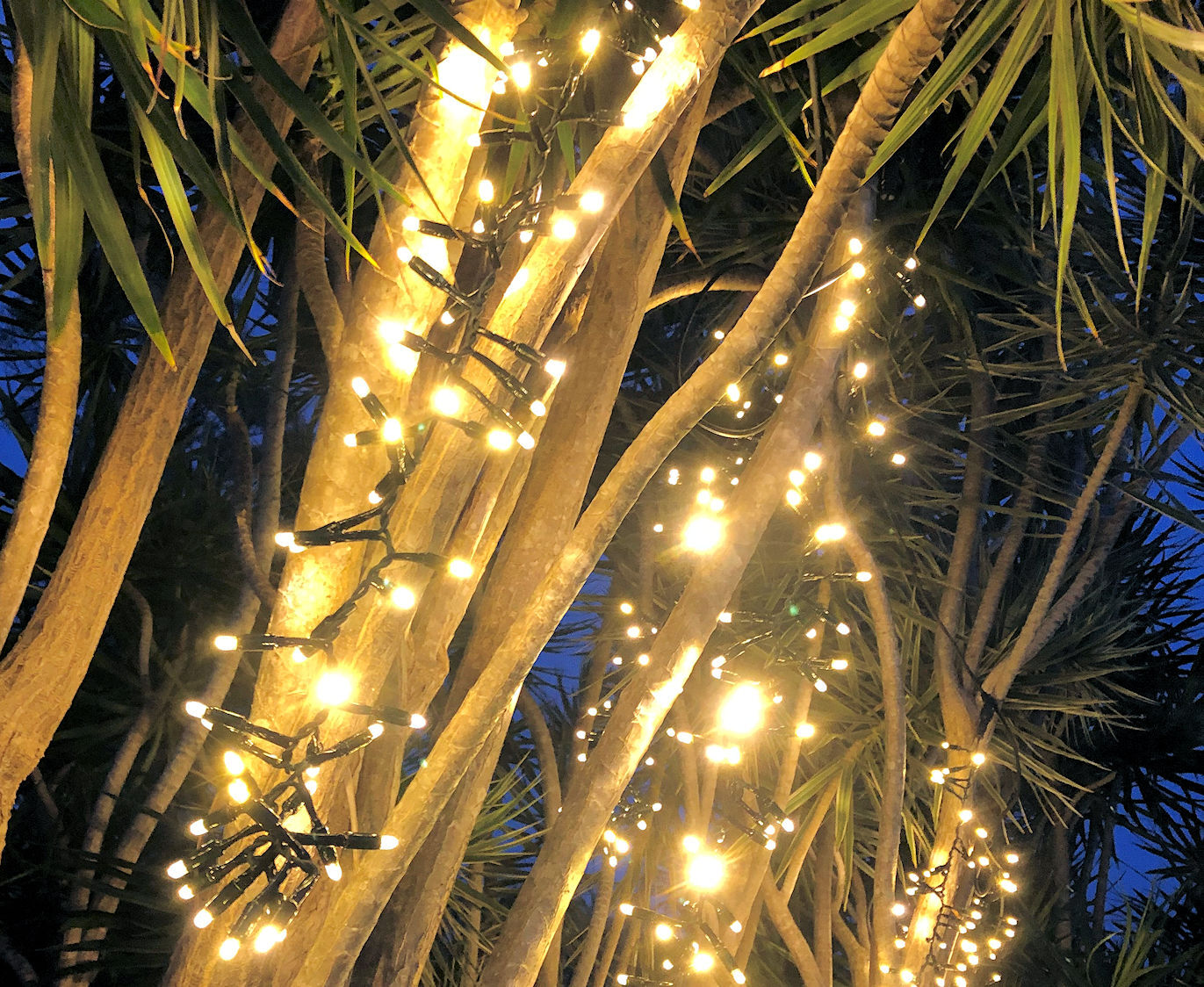 Firecracker lights warm white 10 meters - Available Christmas Complete