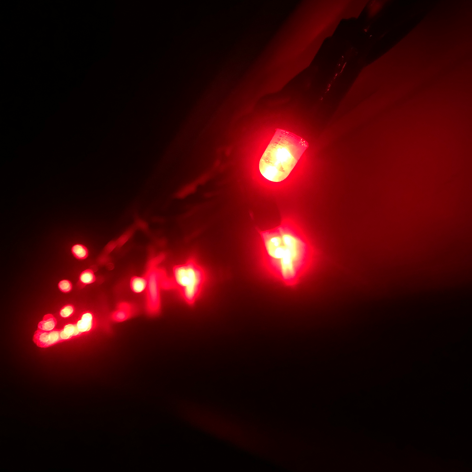 String Lights | Festive Lighting | Christmas Complete