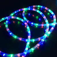 Buy New Rope Light LED 12 Volt male cigar MULTICOLOUR 2 x 15 metres ...