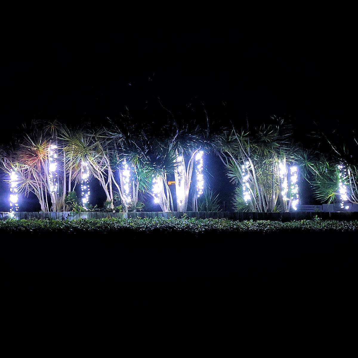 Firecracker Lights COOL WHITE 10m | Christmas Complete