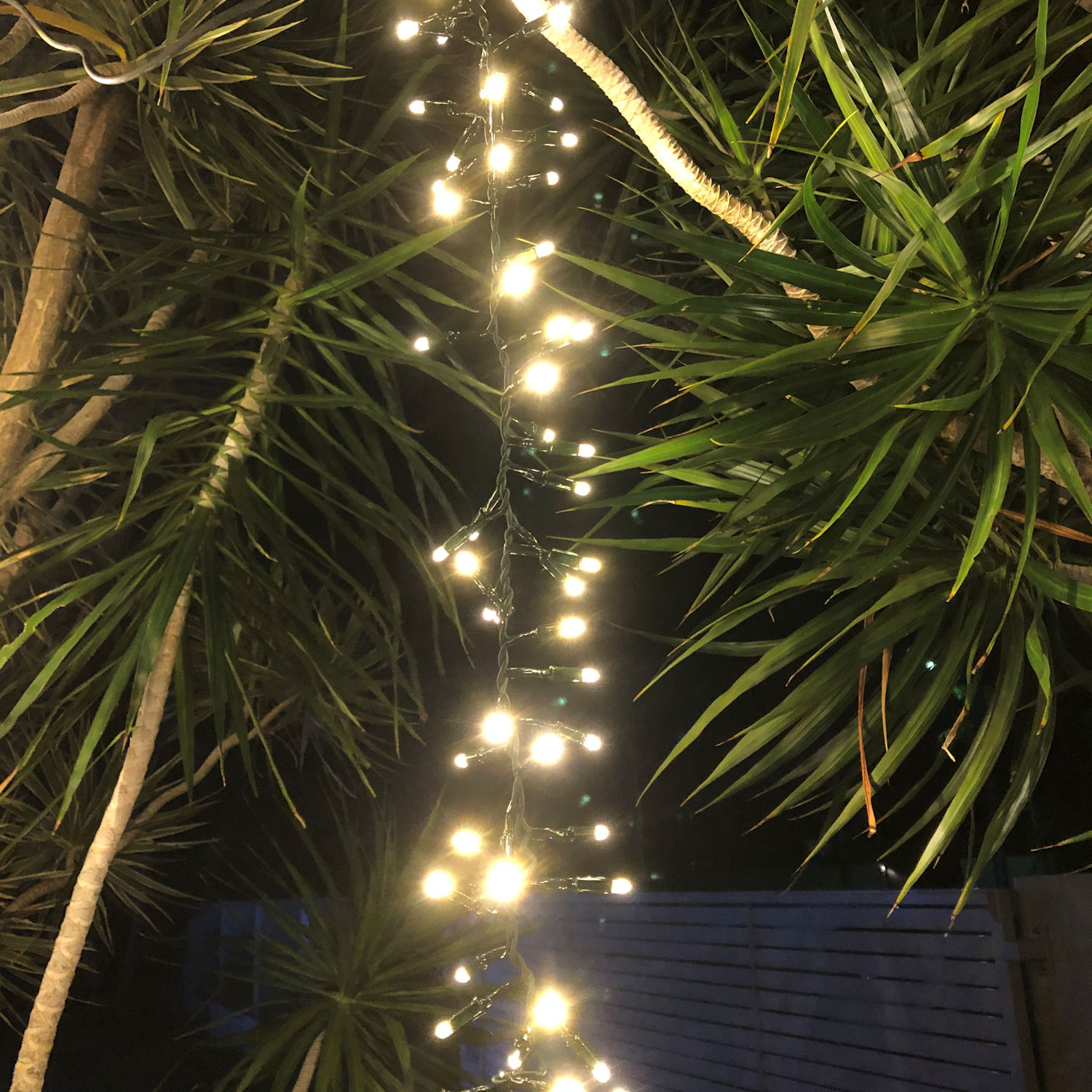 Firecracker lights warm white 10 meters - Available Christmas Complete