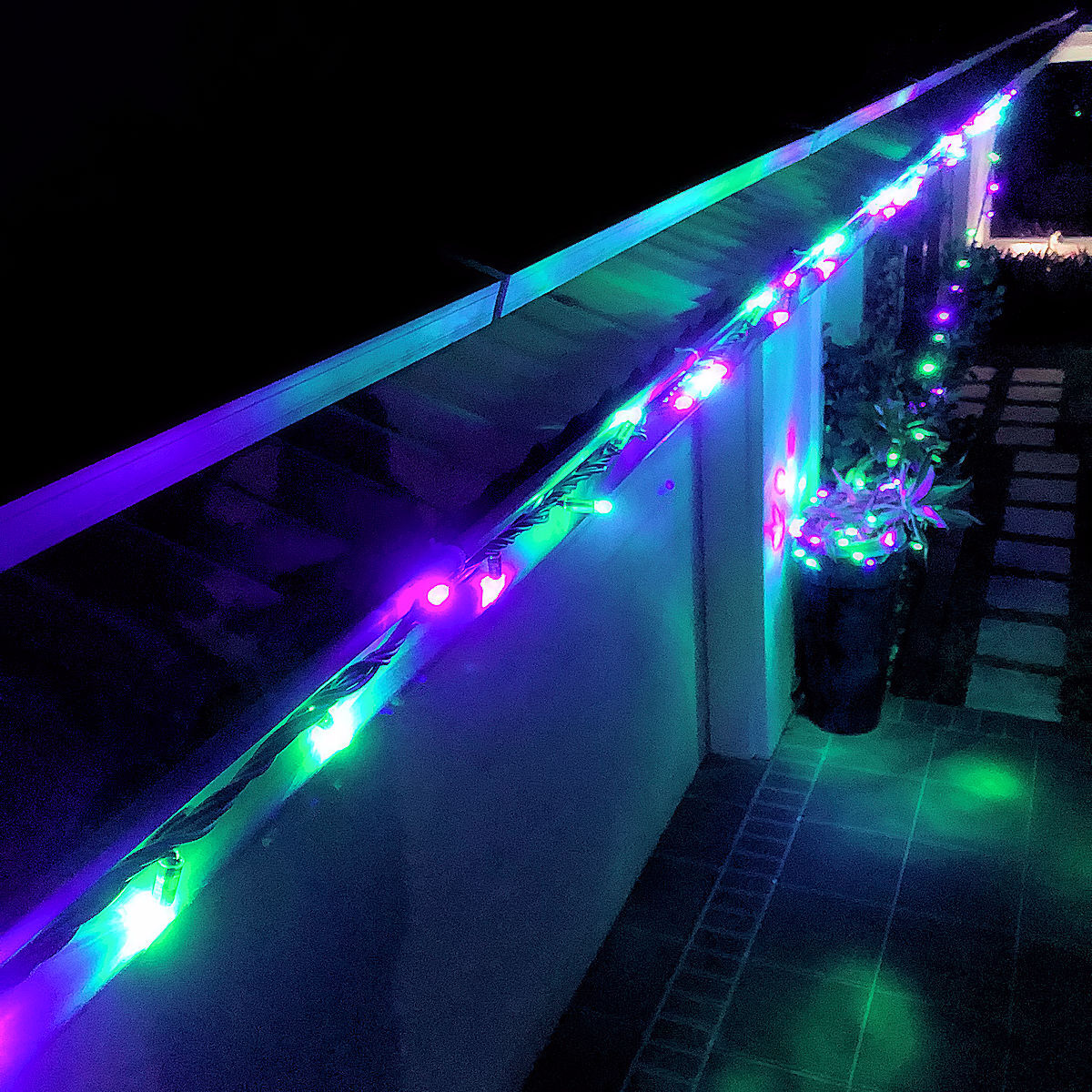 String Lights GREEN/PURPLE 10m | Christmas Complete