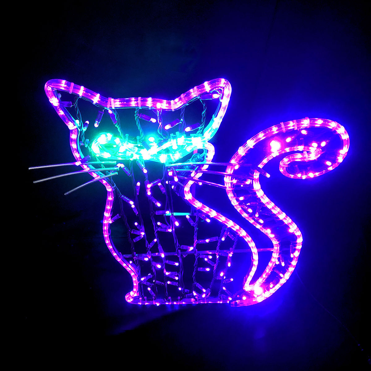 NEW Halloween Cat Purple 80cm | Christmas Complete