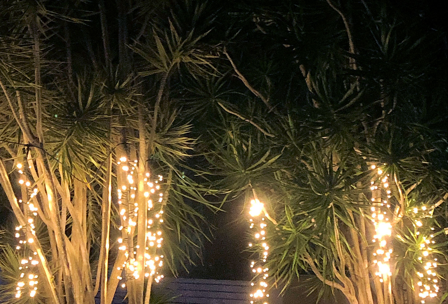 Firecracker lights warm white 10 meters - Available Christmas Complete