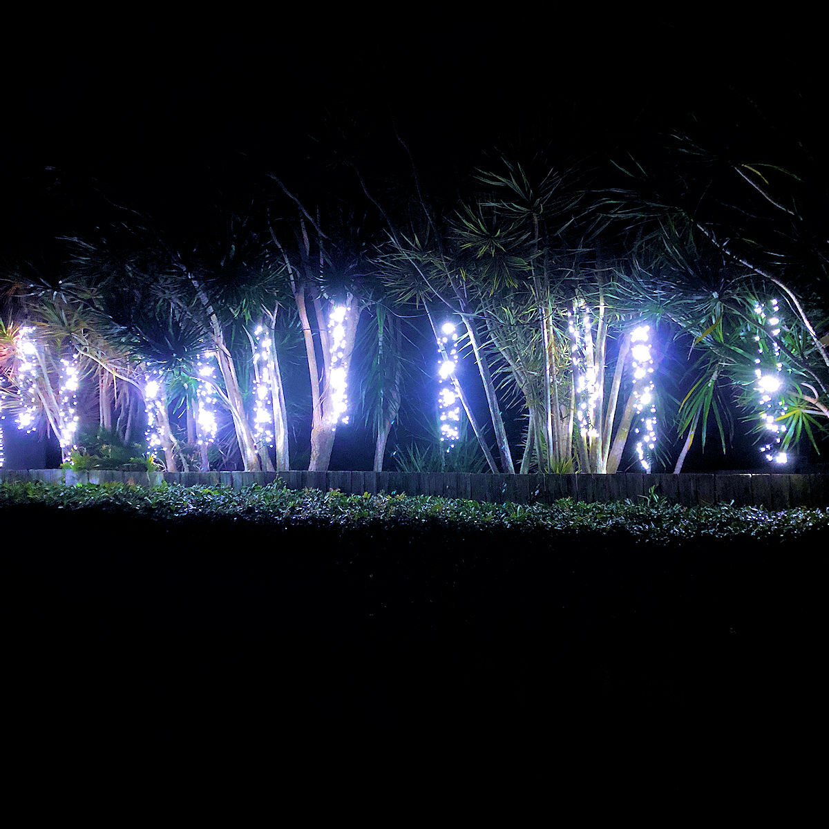 Firecracker Lights COOL WHITE 10m | Christmas Complete