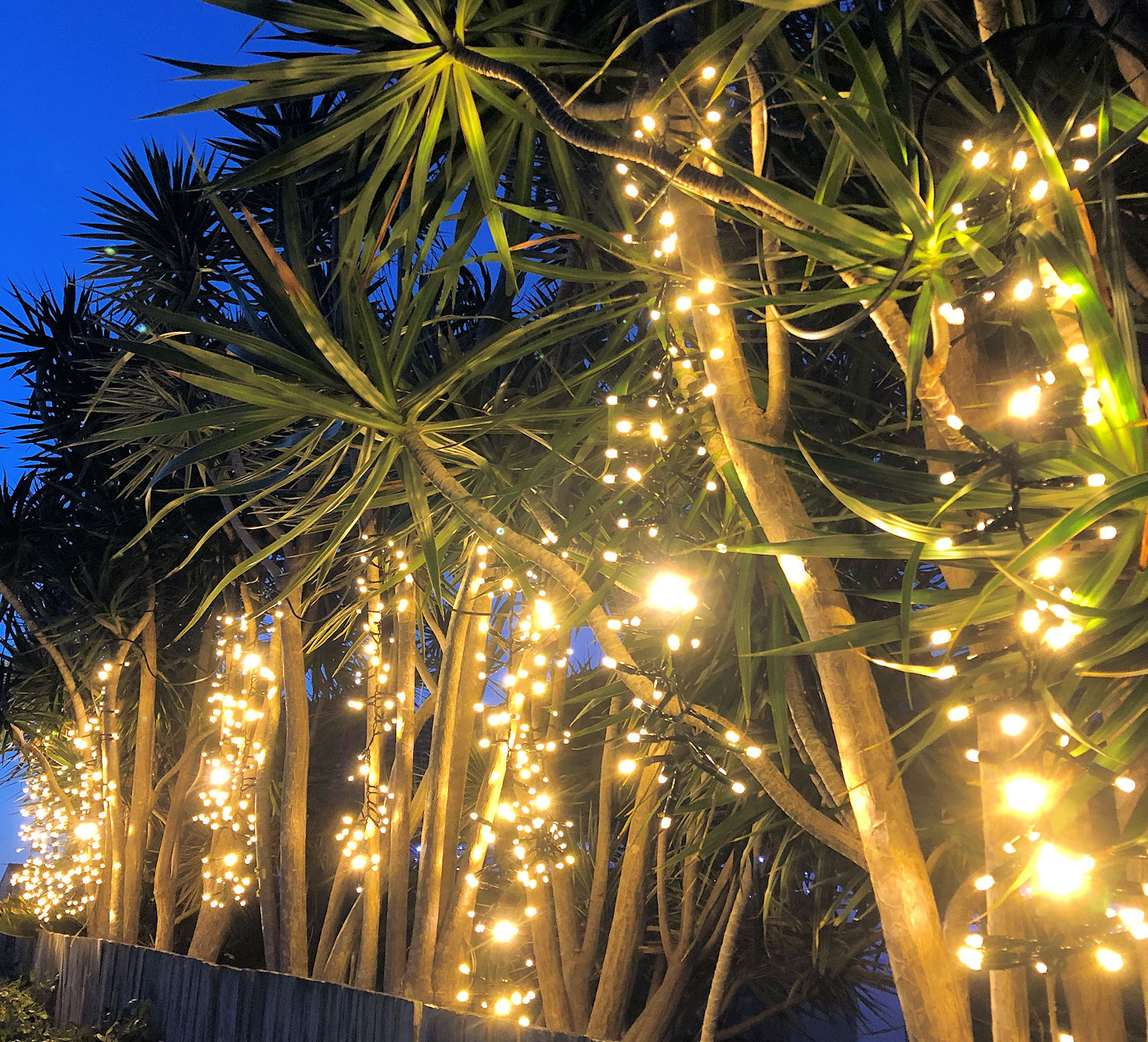 Firecracker lights warm white 10 meters - Available Christmas Complete