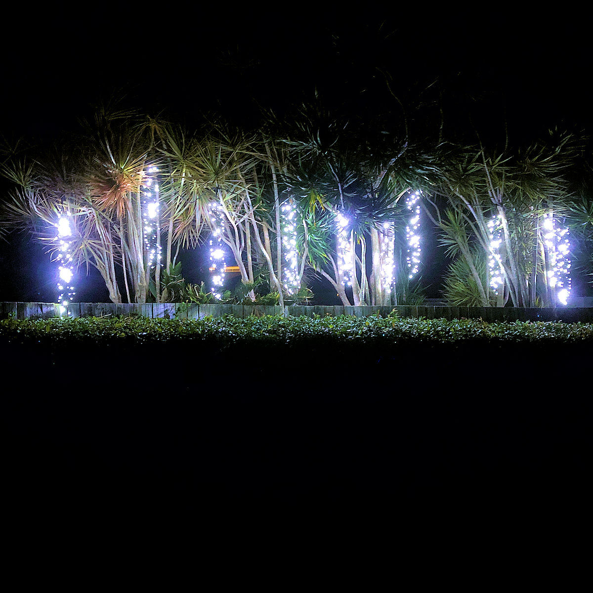 Firecracker Lights COOL WHITE 10m | Christmas Complete