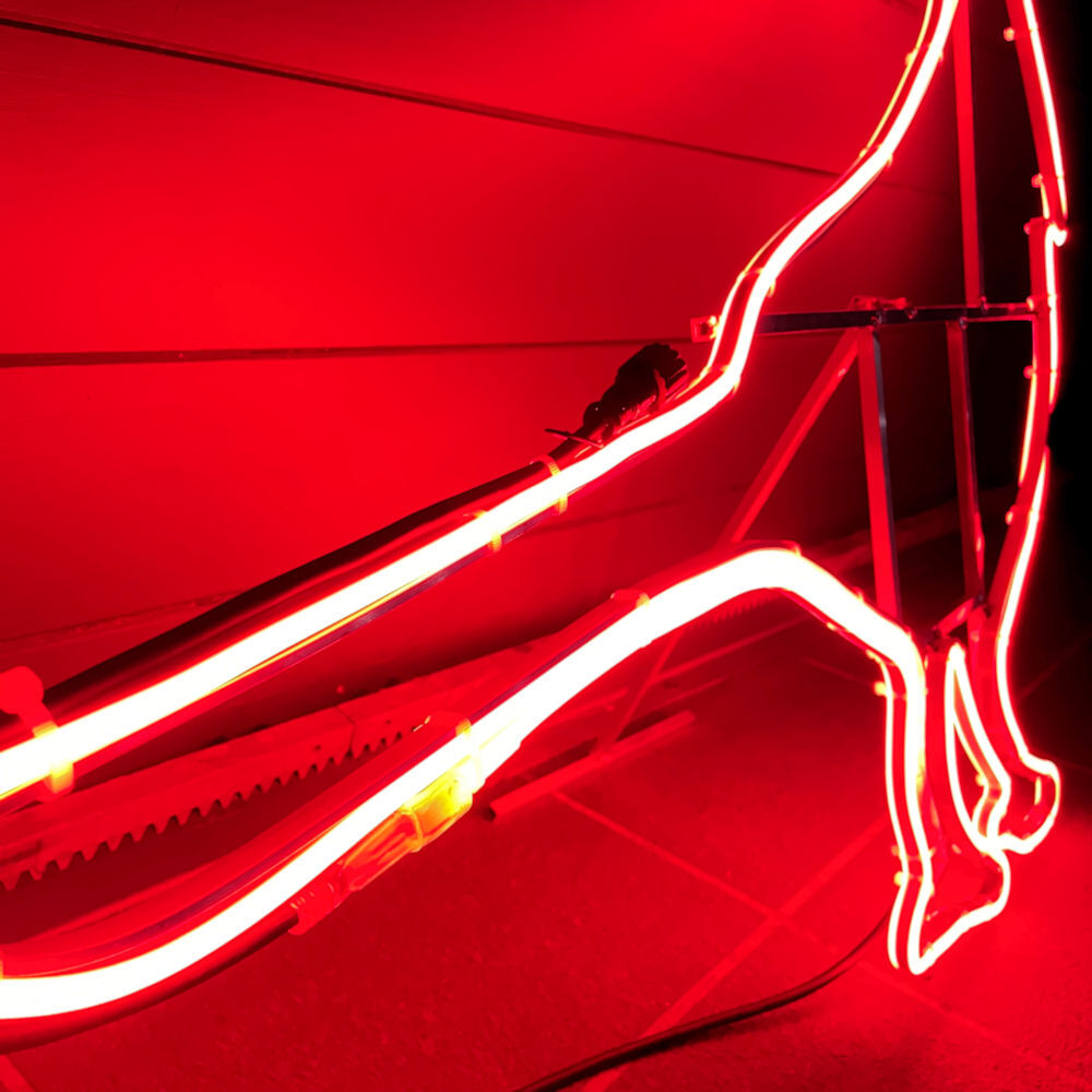 Neon Red Cardinal 100cm | Christmas Complete