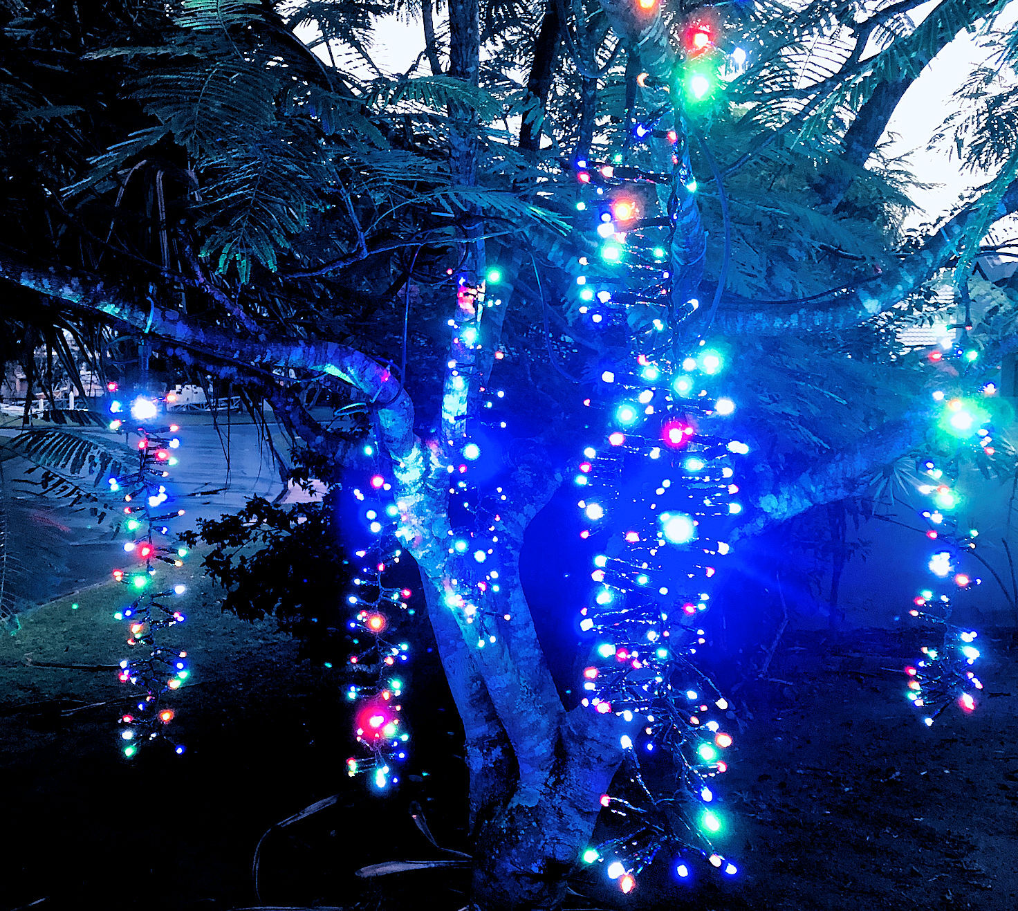 Firecracker Lights Multicolour 10m | Christmas Complete