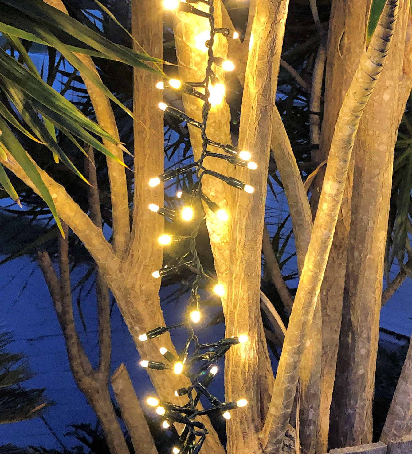 Firecracker lights warm white 10 meters - Available Christmas Complete