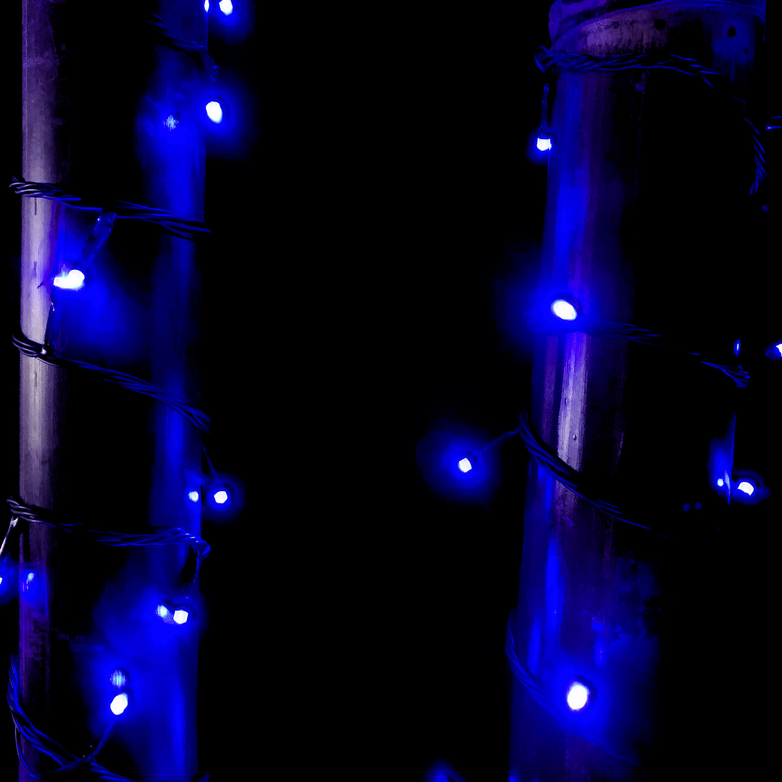 Buy New LED Fairy Lights Blue 10 metres Extendable Green Wire online ...