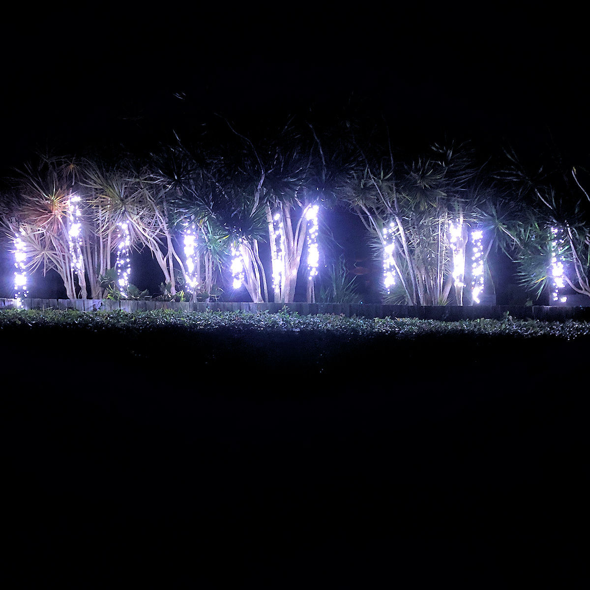 Firecracker Lights COOL WHITE 10m | Christmas Complete