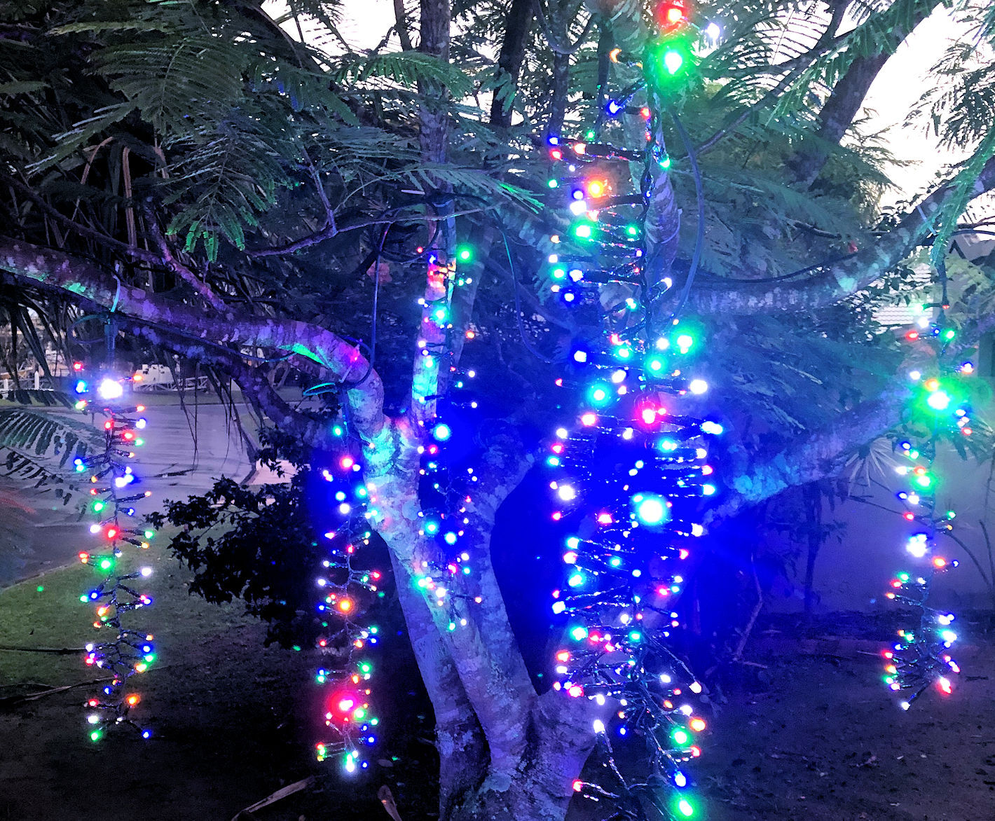 Firecracker Lights Multicolour 10m | Christmas Complete