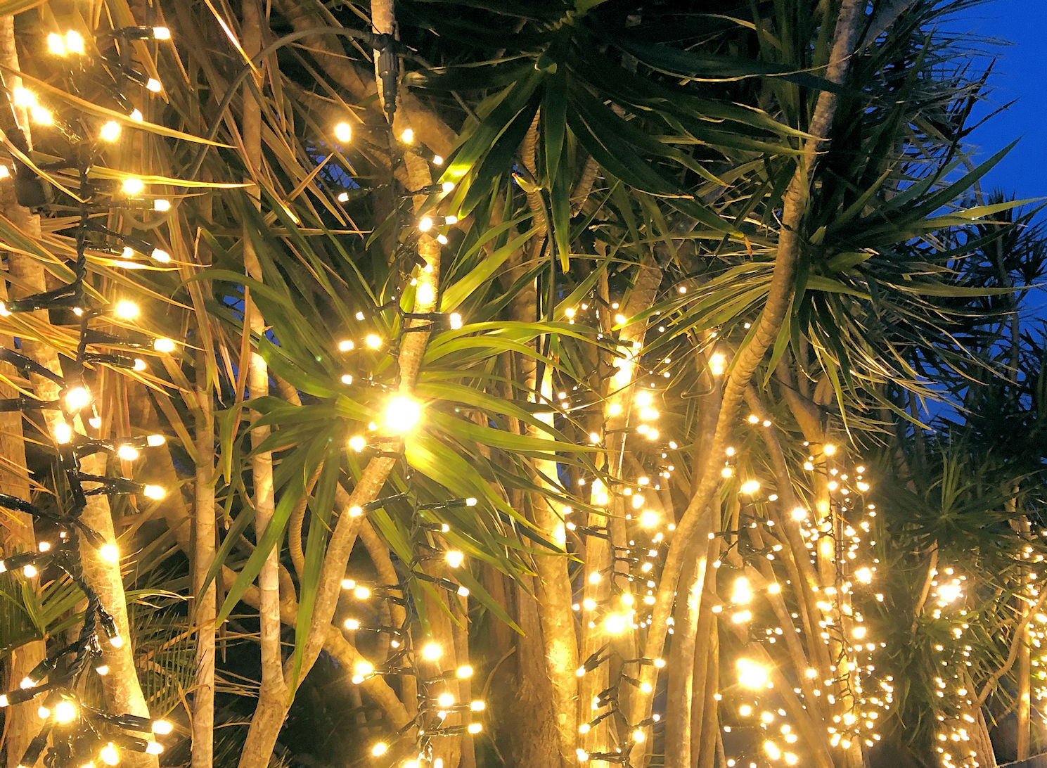 Firecracker lights warm white 10 meters - Available Christmas Complete