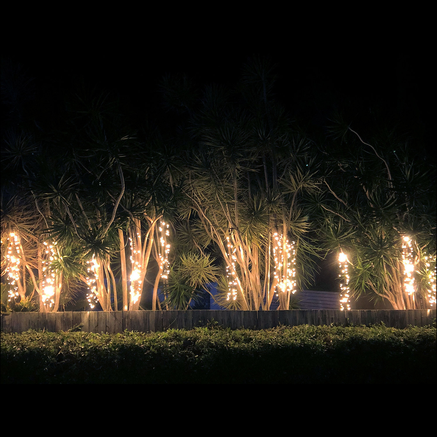 Firecracker lights warm white 10 meters - Available Christmas Complete